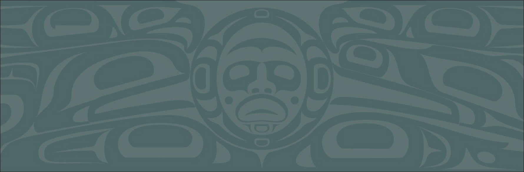 The Victoria Native Friendship Centre – BCause